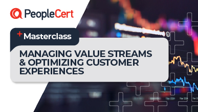 Managing Value Streams and Optimizing Customer Experiences Course Series